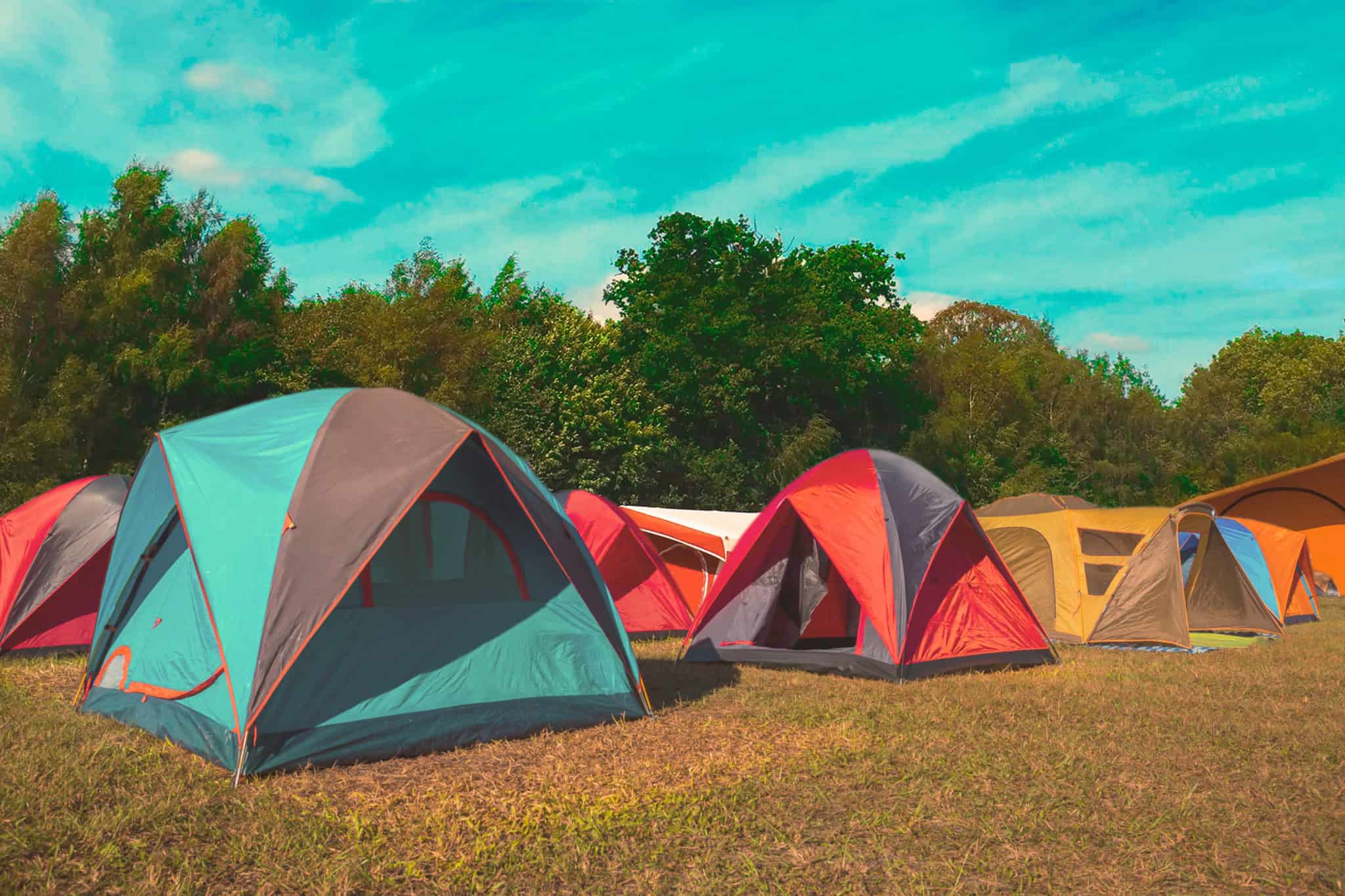 Accommodation - Camp Wildfire